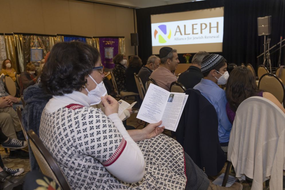 ALEPH: Alliance for Jewish Renewal Awarded Grant for Safety, Equity ...
