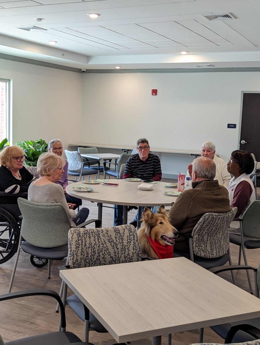 Therapy Dog Visits Federation Housing Residents - Philadelphia Jewish ...