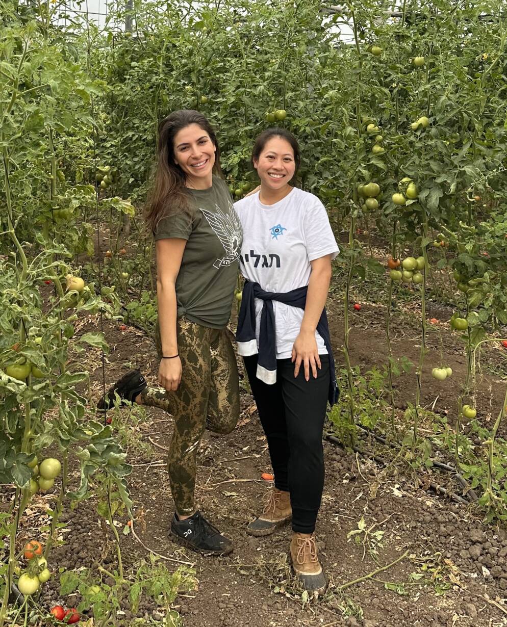 You Should Know: Alison Swanbeck - Philadelphia Jewish Exponent