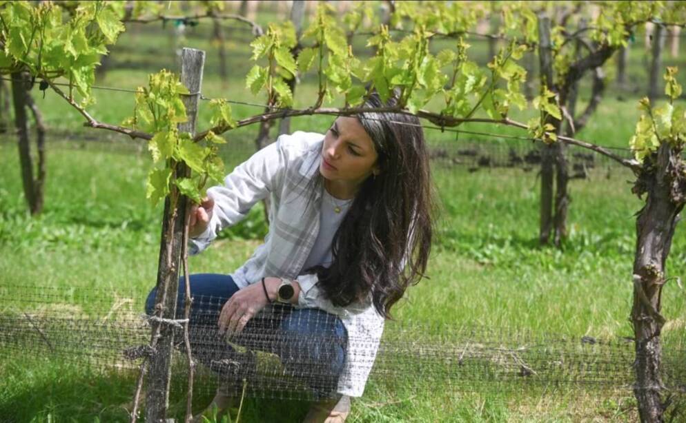 Kosher Wine Buzz in the Mid-Atlantic - Philadelphia Jewish Exponent